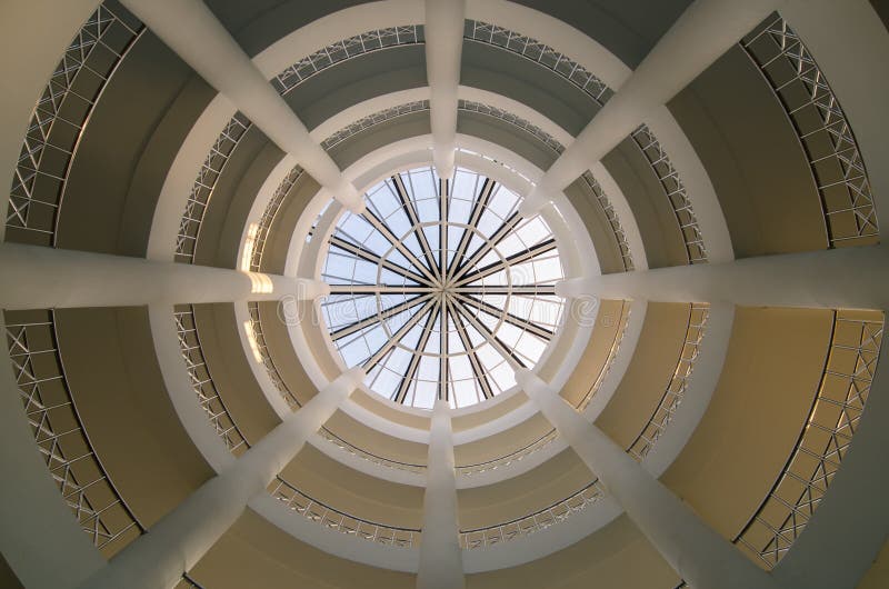 The Dome Web Spider (Cyrtophora Moluccensis) Hangs on Its Web of Nests ...