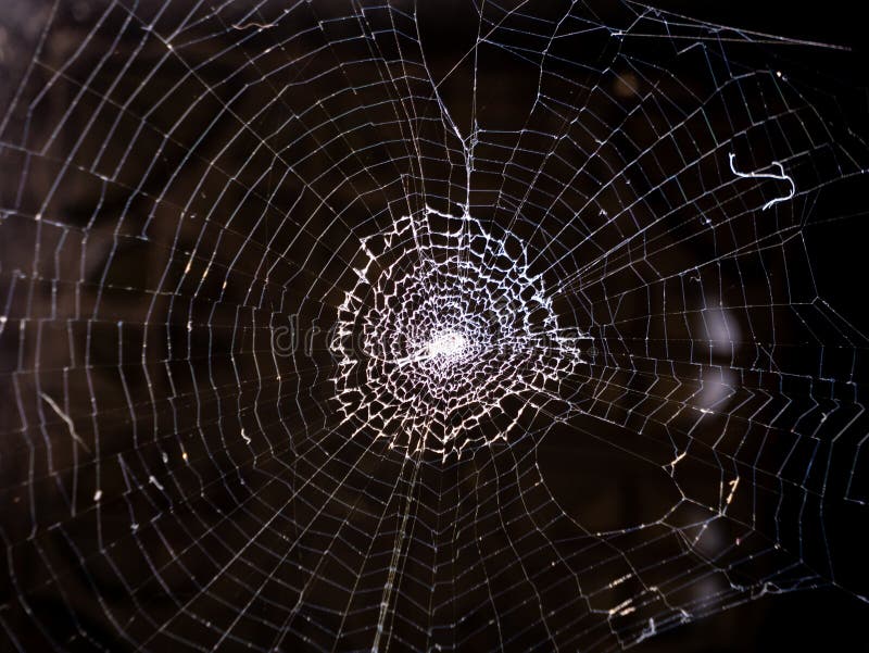 Spider Web Reflection in the Dark Stock Image - Image of morning ...