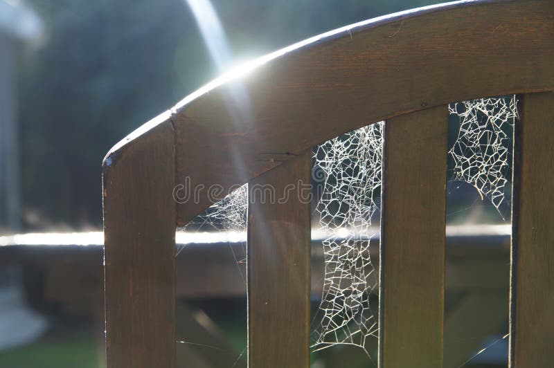 Spider web reflex stock image. Image of chairs, spider - 79390513