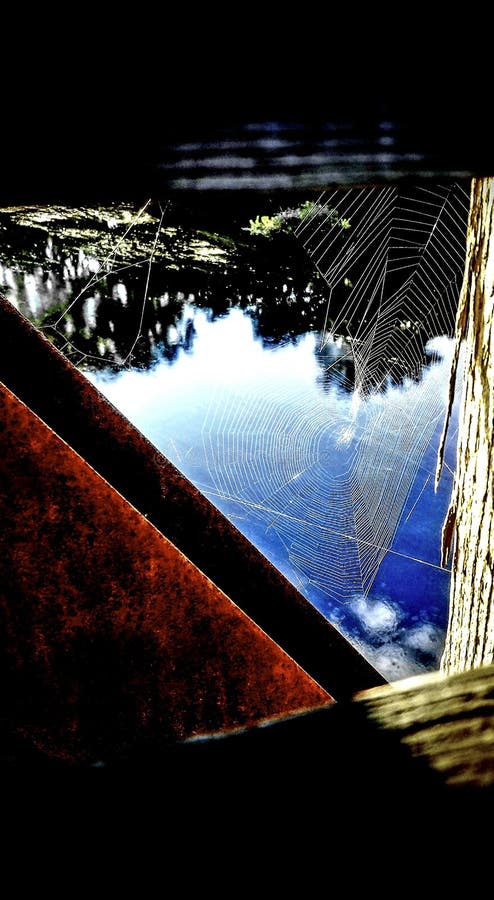 Spider Web on River Bridge stock image. Image of spider - 125635607