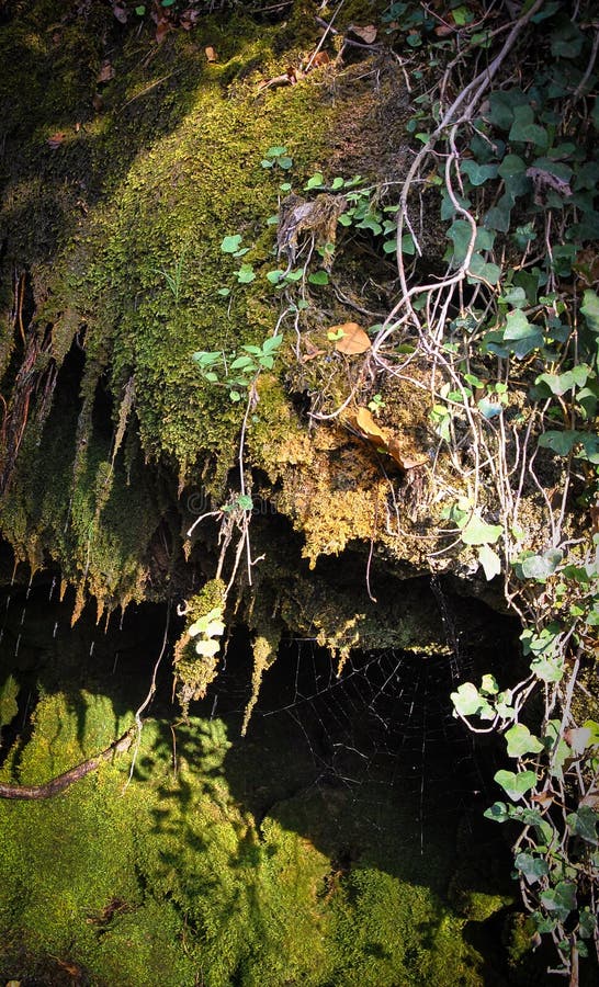 875 Spider Web Rock Stock Photos - Free & Royalty-Free Stock Photos ...