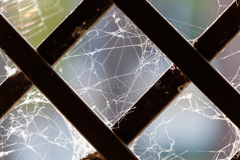 Spider web on a window stock image. Image of untidy - 227894629