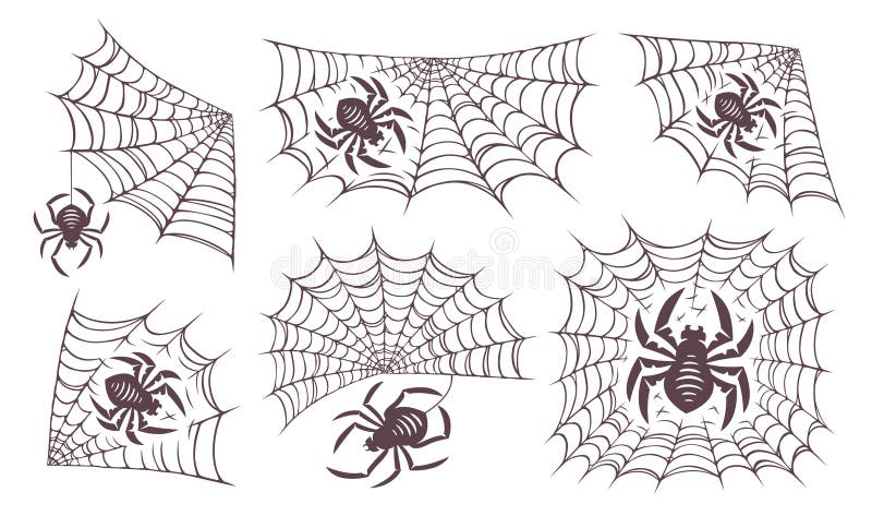 Spider and Web Set. Concept Halloween Decoration Design. Collection ...
