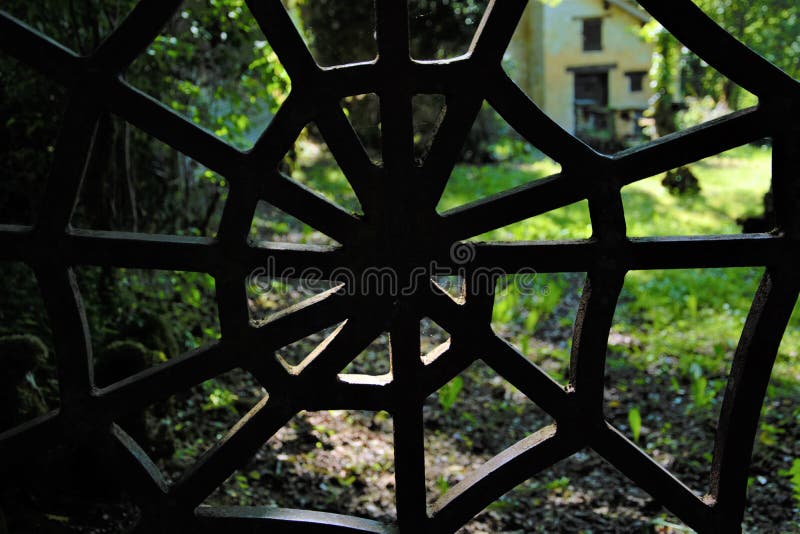 Spider Web Shaped Grid Background Stock Photo - Image of tree, color ...