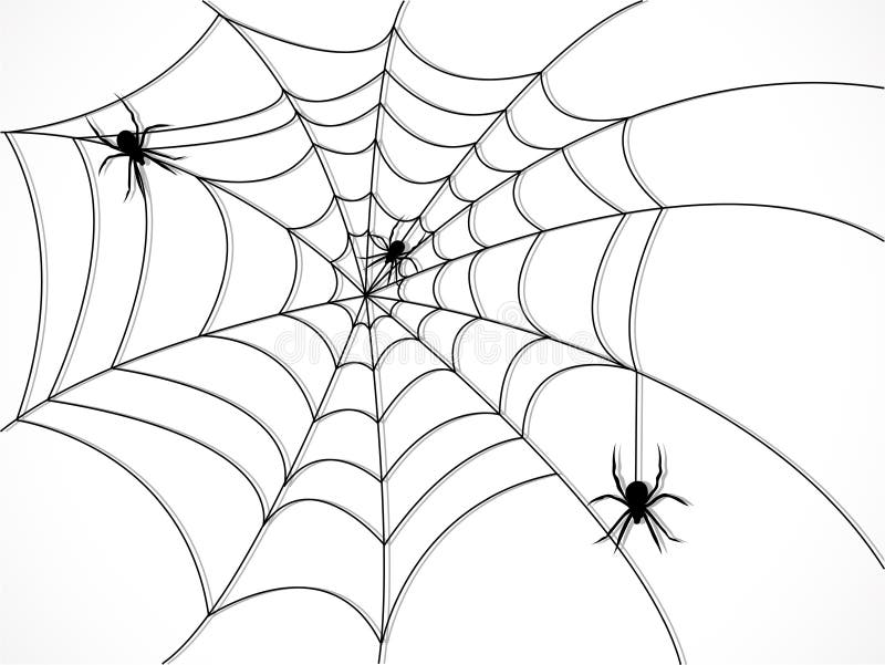 Spider web stock vector. Illustration of black, abstract - 35753799