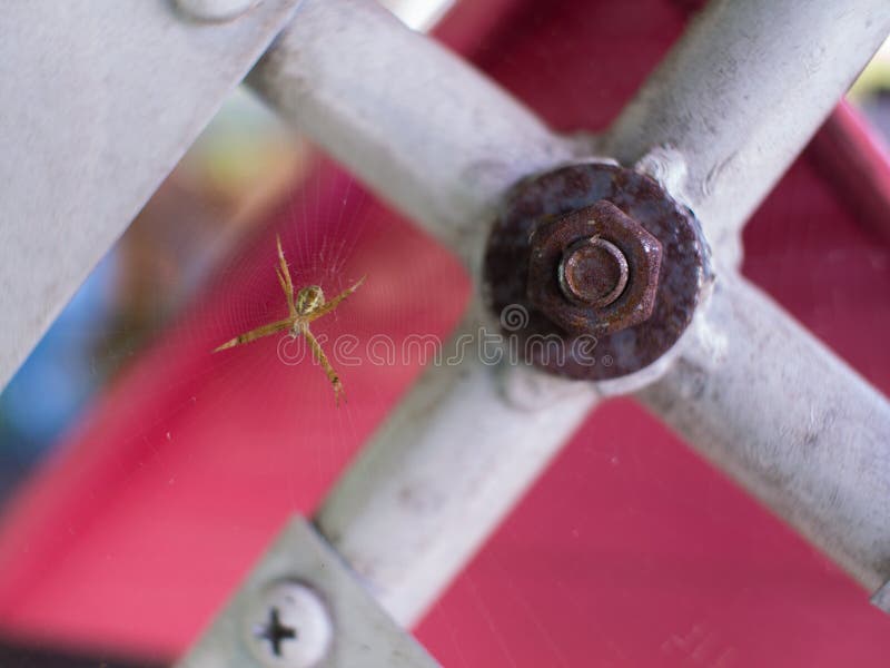 Spider Web in Small Wind Mill Stock Photo - Image of morning, blur ...
