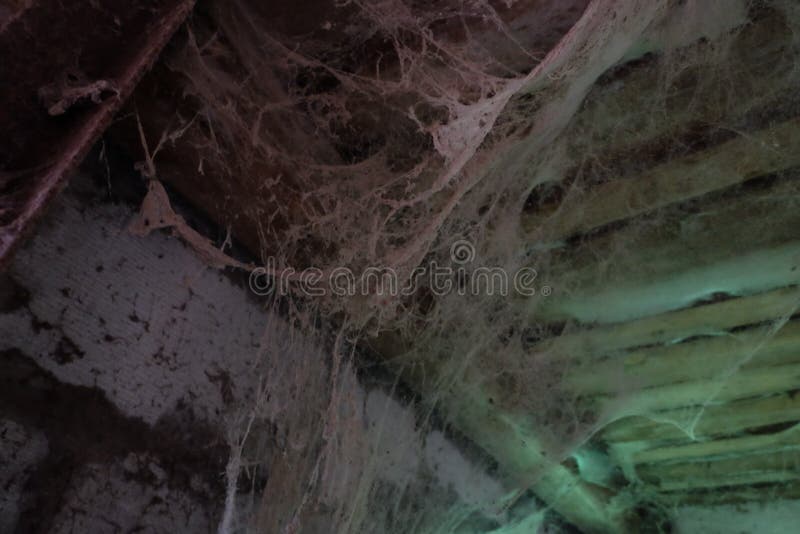 Spider Web, Spider, Spider Web, Dungeon Room Stock Photo - Image of ...