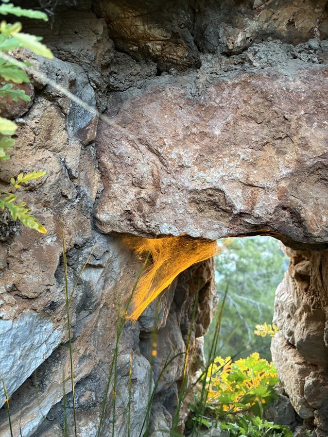 Spider Web Stone Wall Sunset Stock Photos - Free & Royalty-Free Stock ...