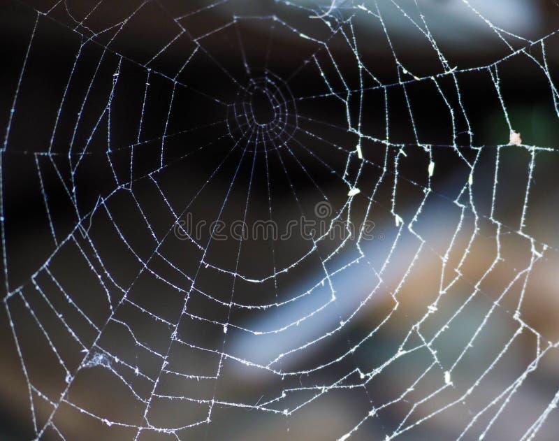 Spider Web Stretched in the Yard Stock Image - Image of decoration ...