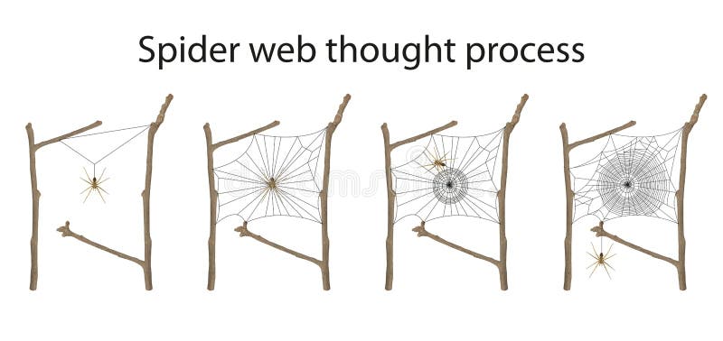 Spider Web Thought Process Illustration Stock Illustration ...