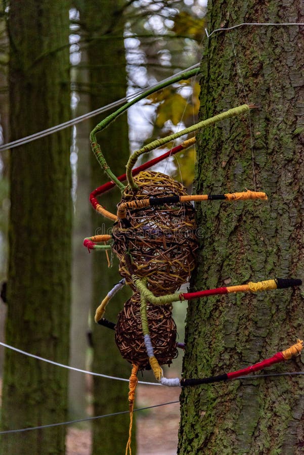 Spider web on tree branch stock photo. Image of landscape - 147037394