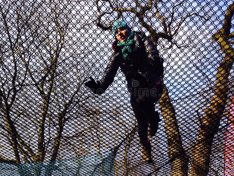 Spider web among the trees editorial image. Image of trampoline - 50571225