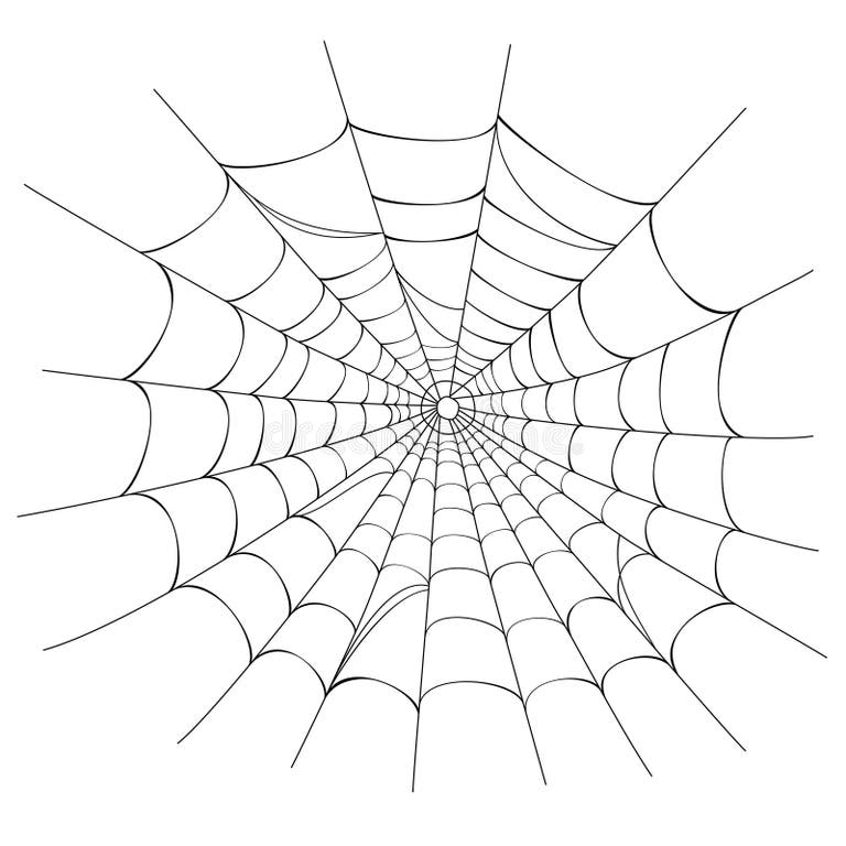 White Spider Web Stock Illustrations – 32,719 White Spider Web Stock ...