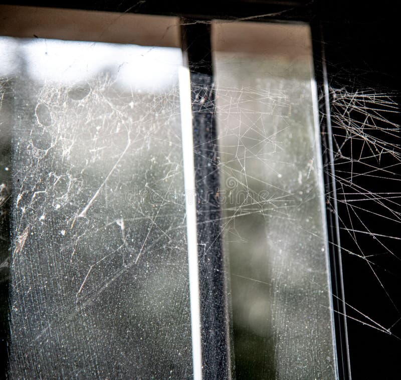 Spider Web in a Window Corner Stock Photo - Image of dust, people ...