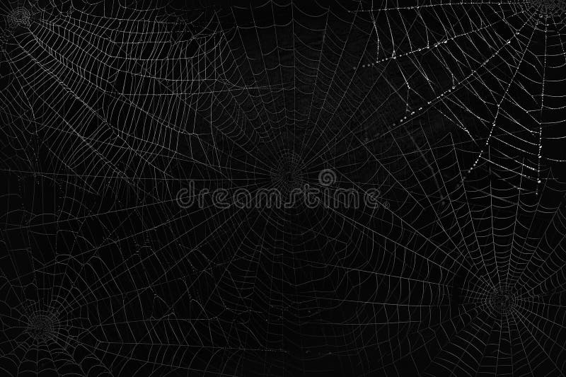 Spider Webs Against Grunge Black Wall Stock Illustration - Illustration ...