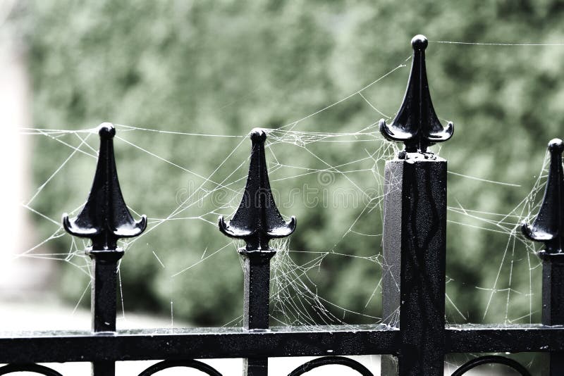 Spider Webs Along the Points of a Fence Stock Photo - Image of grey ...