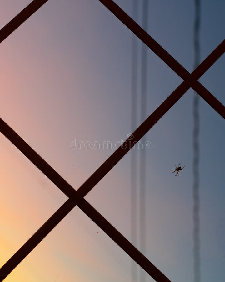 Spider web on a window stock image. Image of untidy - 227894629