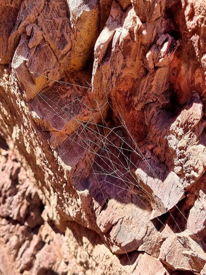 Spidernet on Unusual Rock Structure Background, Geological Object Stock ...