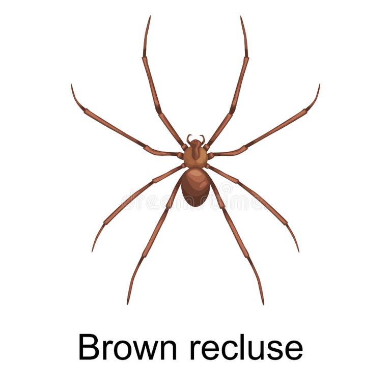 Dangerous Insects Stock Illustrations – 1,444 Dangerous Insects Stock ... Dangerous Insects Stock Illustrations – 1,444 Dangerous Insects Stock ...