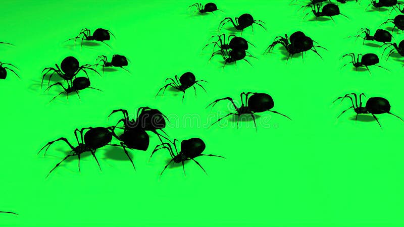 Spiders on Green Background. Creepy Crawling Stock Illustration ...