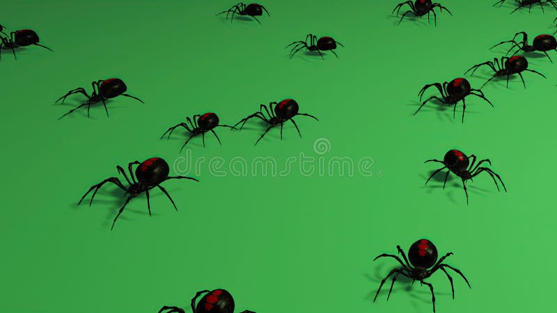 Spiders on Green Background. Creepy Crawling Stock Illustration ...