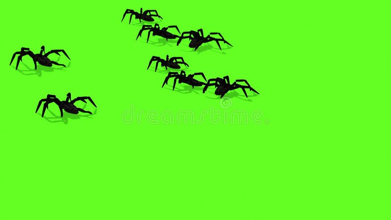 Spiders on Green Screen Creepy Crawling Stock Video - Video of chroma ...