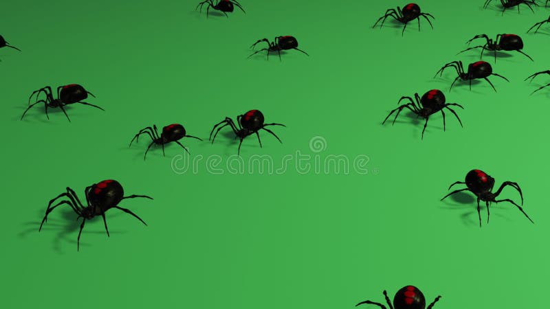 Crawling Large Spider Stock Footage & Videos - 118 Stock Videos