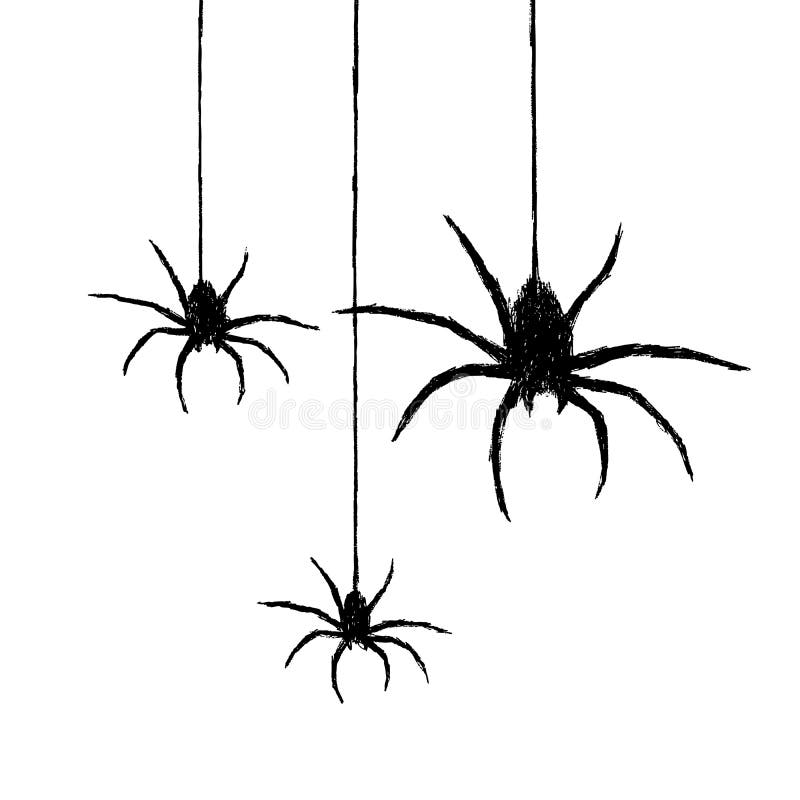 Spiders Sketch Hand Pencil Drawing Stock Illustrations – 16 Spiders ...
