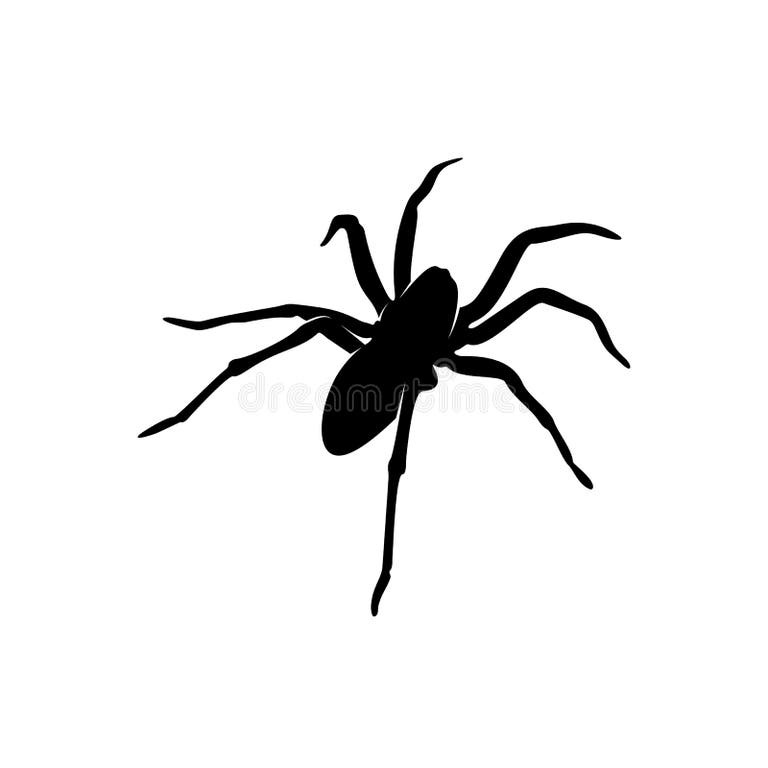 Spiders Movements Stock Illustrations – 35 Spiders Movements Stock ...