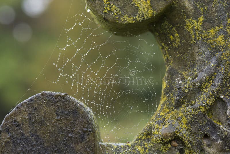 A Spiders Web on a Headstone Stock Image - Image of fall, headstone ...