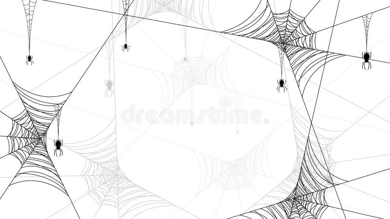 Spiders on Web with White Background. Halloween Background Design ...