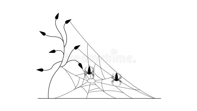 Spiders On Web With White Background Halloween Background Element Spooky Scary Horror