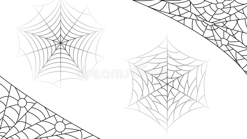 Spiders on Web with White Background. Halloween Background Design ...