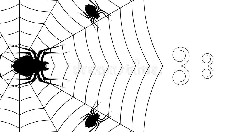 Spiders on Web with White Background. Halloween Background Element ...