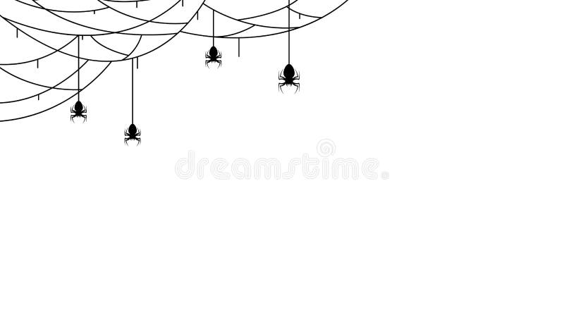 Spiders on Web with White Background. Halloween Background Design ...