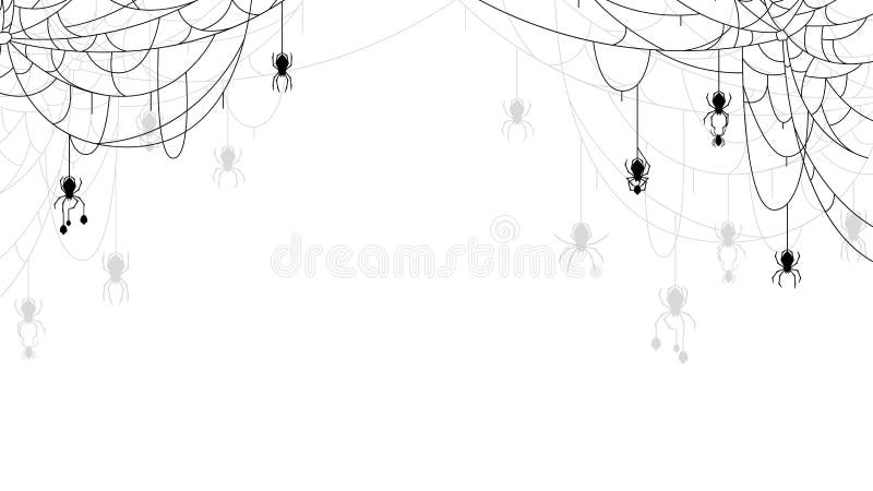 Spiders on Web with White Background. Halloween Background Design ...
