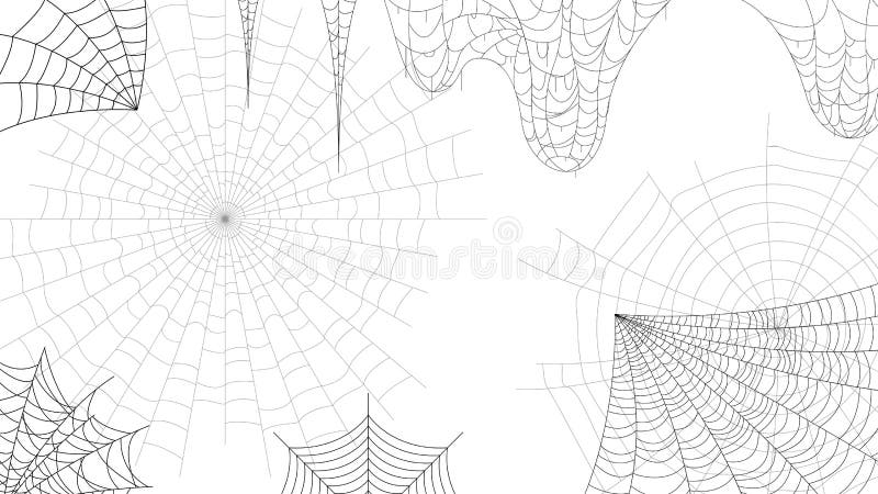 Spiders on Web with White Background. Halloween Background Design ...