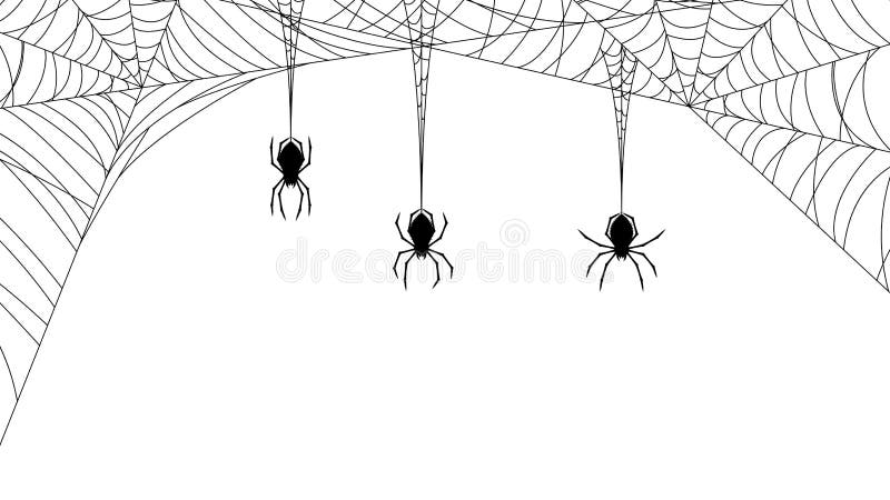 Spiders on Web with White Background. Halloween Background Design ...