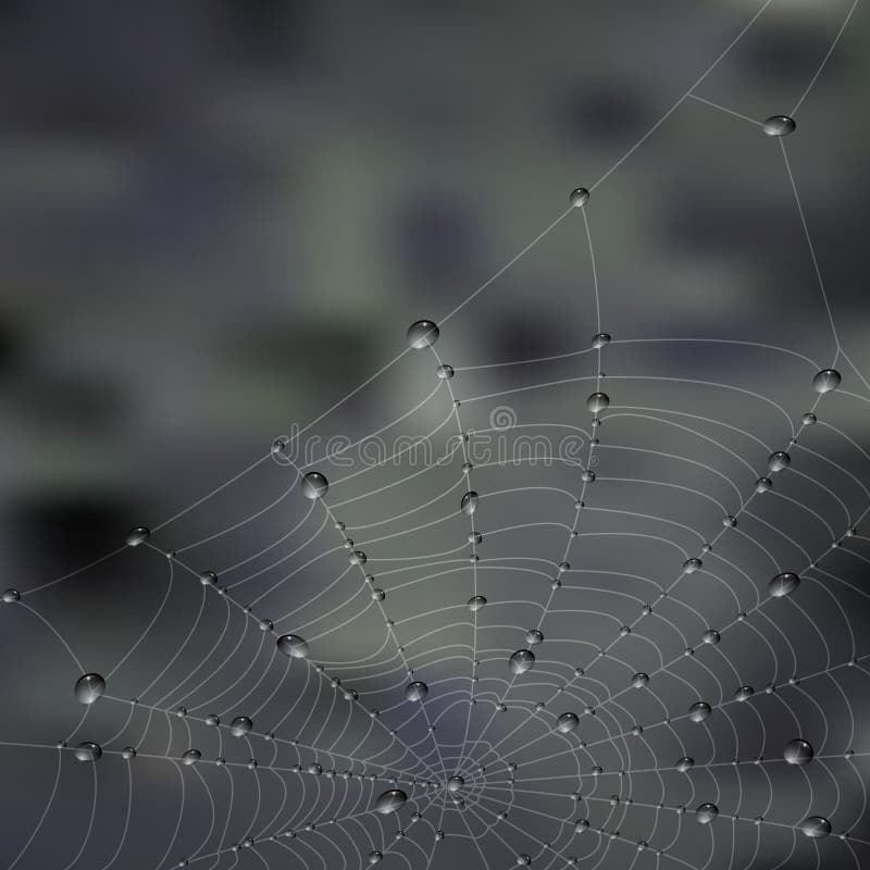 SPIDER WEB stock illustration. Illustration of data, diversity - 1633568