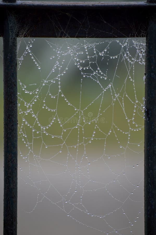 Spiderweb in the Shape of a Square in a Window Stock Image - Image of ...