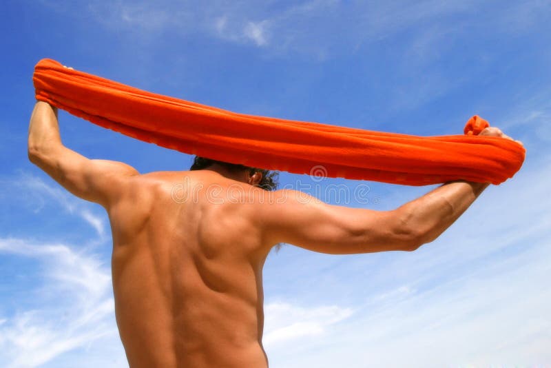 Spier mannelijk torso stock foto. Image of carrosseriegebouw - 2472546