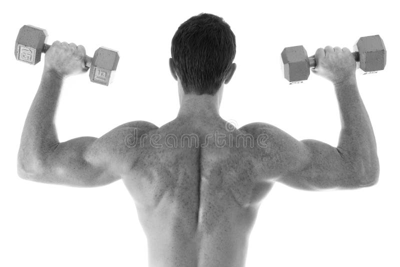 Spiraalvormig Spierweefsel Met De Achterkant Naakte Torso. Man Naakte ...