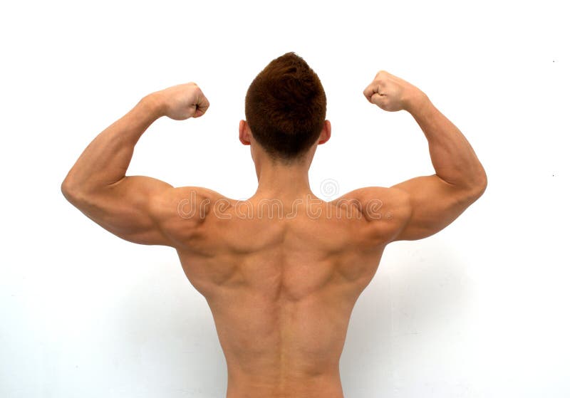 De Bicepsen En De Spieren Van De Bodybuilder Stock Afbeelding - Image ...