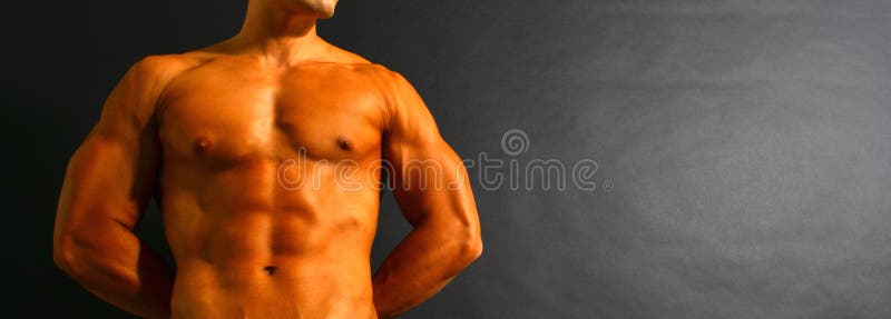 Spier Torso stock foto. Image of borst, bouw, menselijk - 27858968
