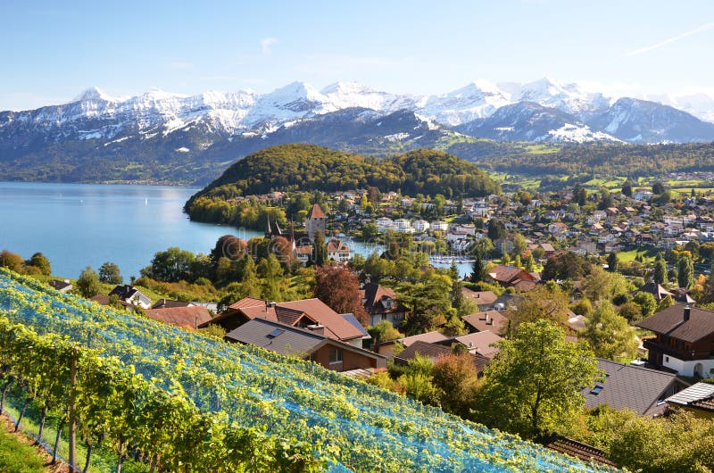Spiez, Svizzera fotografia stock. Immagine di panorama - 34717976