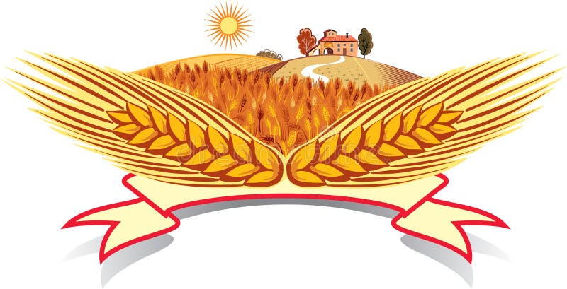 Spighe Illustrazioni, Vettoriali E Clipart Stock – (165 Illustrazioni ...