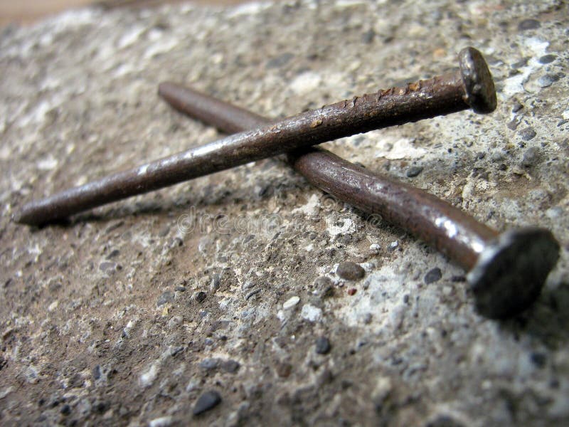 Naken tree fotografering för bildbyråer. Bild av säsong - 3680195