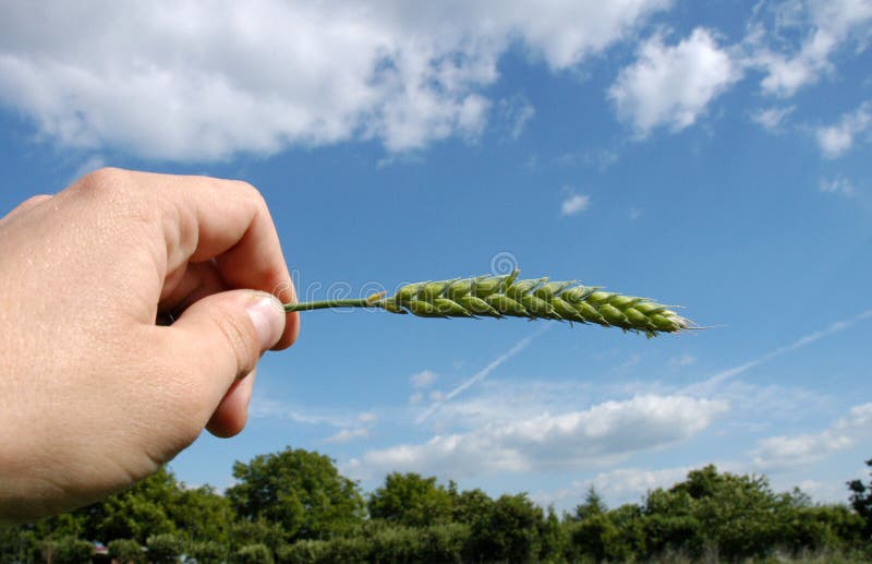 5,350 Hand Spike Stock Photos - Free & Royalty-Free Stock Photos from ...