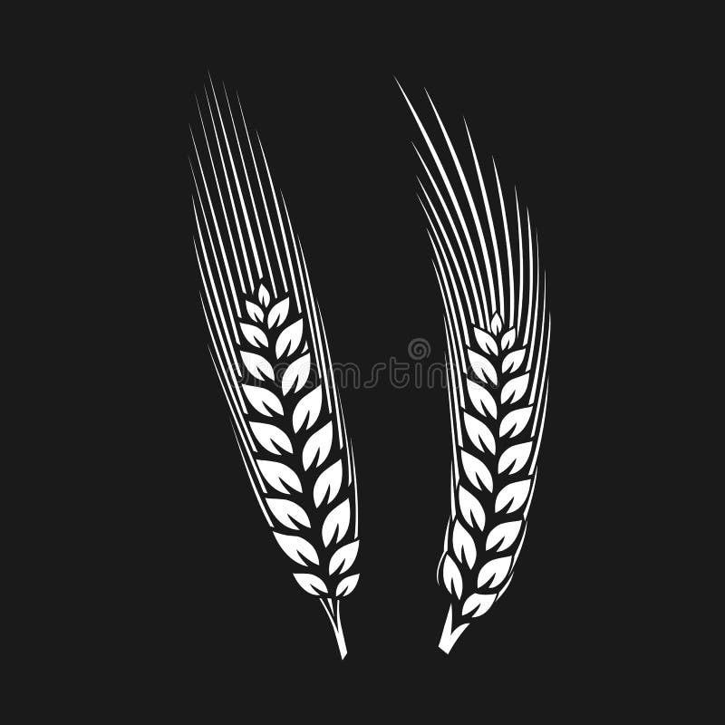 Spike of Wheat Illustration Stock Vector - Illustration of bran, design ...