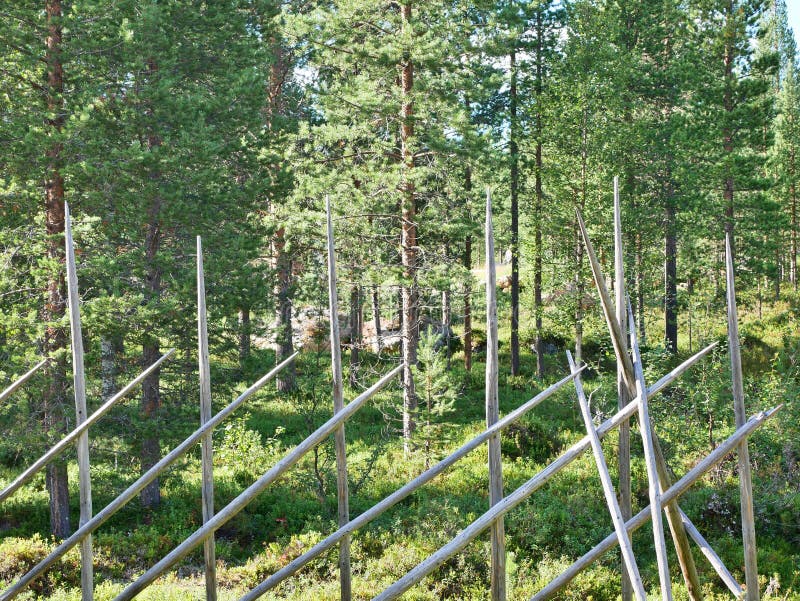 346 Spiked Fence Garden Stock Photos - Free & Royalty-Free Stock Photos ...